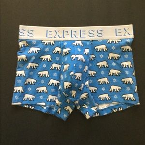 Express Underwear & Socks | Mens Solid Sport Trunk Boxer Shorts Blue ...